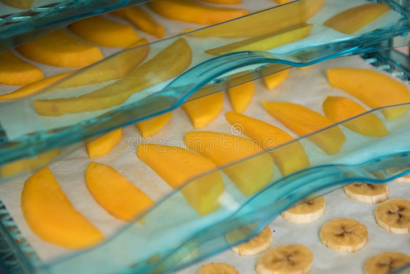 Drying Fruits in the Drying Machine Stock Image - Image of mango ...