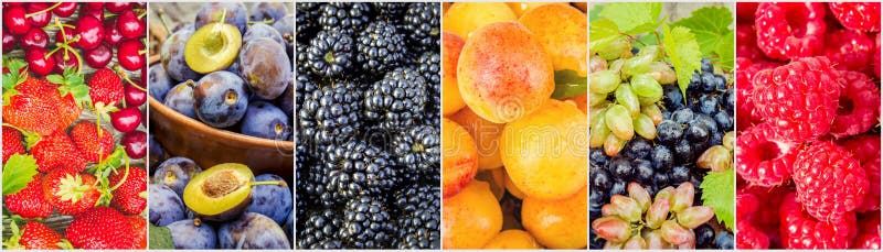 Berries collage stock photo. Image of raspberry, summer - 20639074