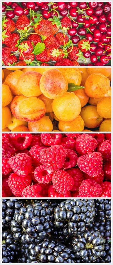 Berries collage stock photo. Image of raspberry, summer - 20639074