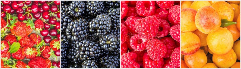 Berries collage stock photo. Image of raspberry, summer - 20639074