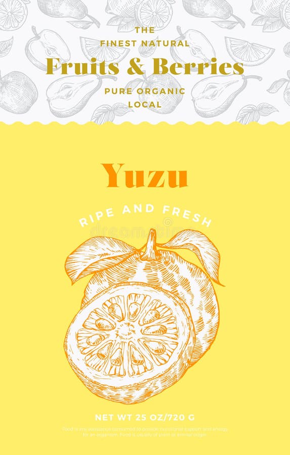 Fruits and Berries Pattern Label Template. Abstract Vector Packaging ...