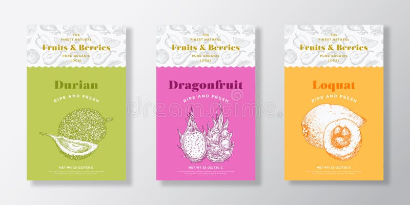 Fruits and Berries Pattern Label Templates Set. Vector Packaging Design ...