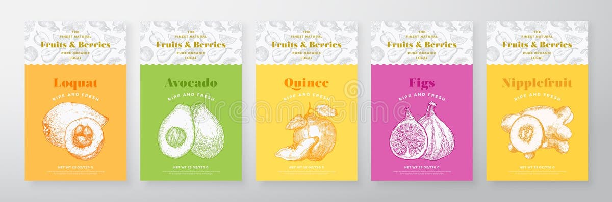 Fruits Label Packaging Stock Illustrations – 3,985 Fruits Label ...