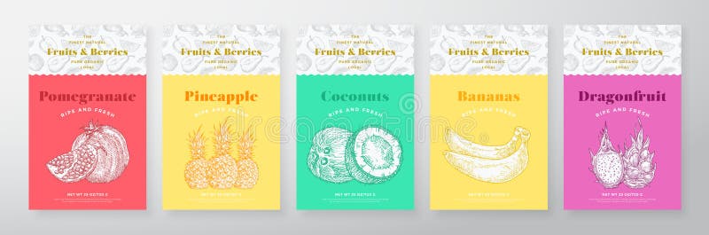 Fruits and Berries Pattern Label Templates Set. Vector Packaging Design ...