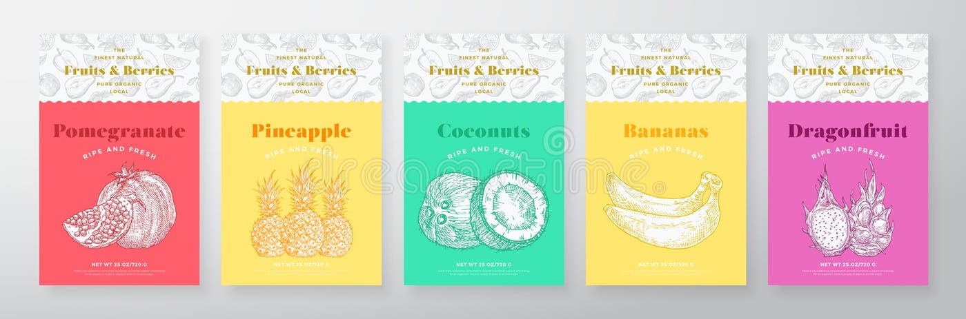 Fruits Layout Stock Illustrations – 7,164 Fruits Layout Stock ...