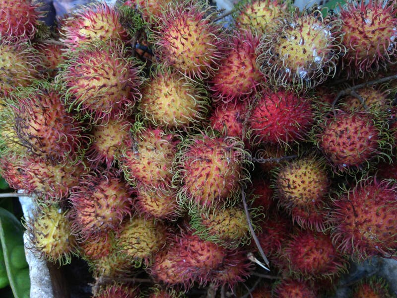 This Fruits Called Rambutan and it S Taste is Yummy Stock Image - Image ...