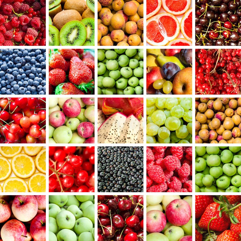 Fruits collection stock photo. Image of apricot, harvest - 228027188