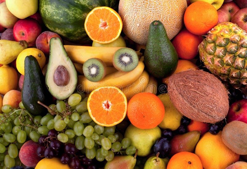 Fruits stock photo. Image of avocado, glossy, fresh, green - 34040814