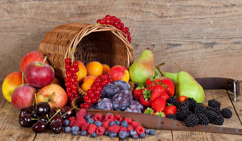 Fruits d'été image stock. Image du pommes, saison, cerise - 15601871
