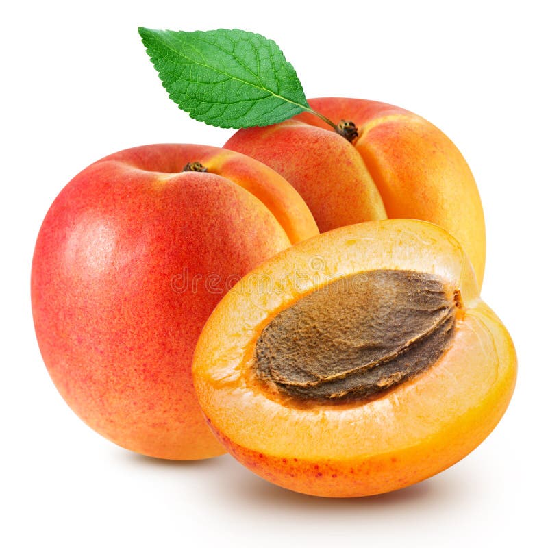 Fruits D'abricot D'isolement Photo stock - Image du vitamines, moisson ...