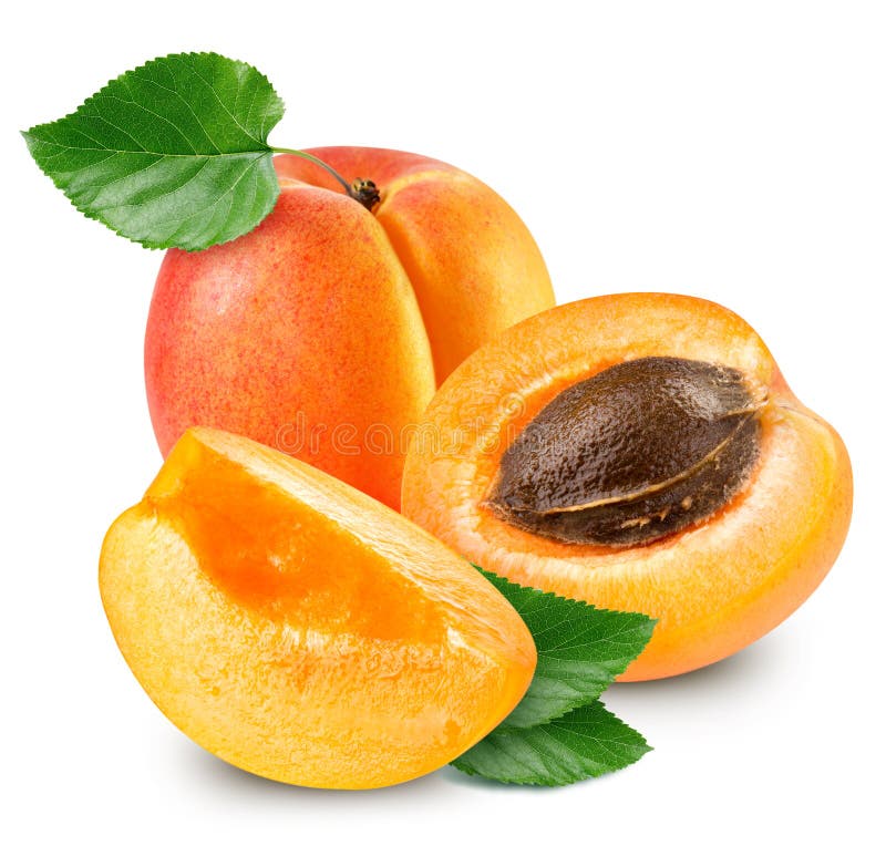 Fruits D'abricot D'isolement Photo stock - Image du vitamines, moisson ...