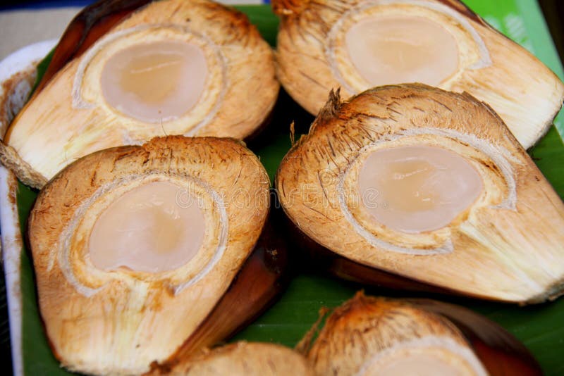 Fruits d'Atap photo stock. Image du agriculture, collecte - 134366916