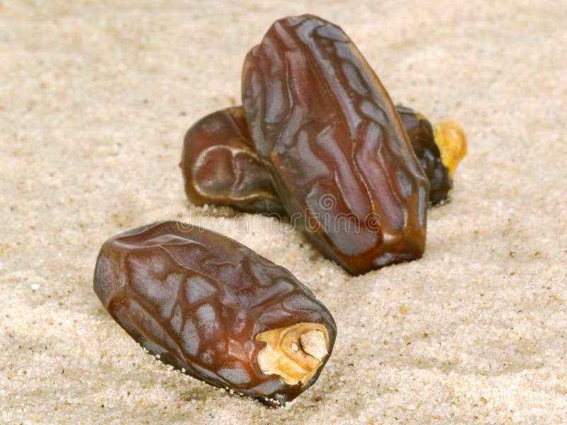 Fruits de datte image stock. Image du datte, islam, arabe - 5652313