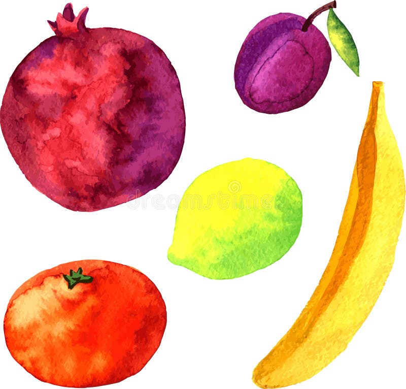Fruits De Dessin D'aquarelle Illustration de Vecteur - Illustration du ...