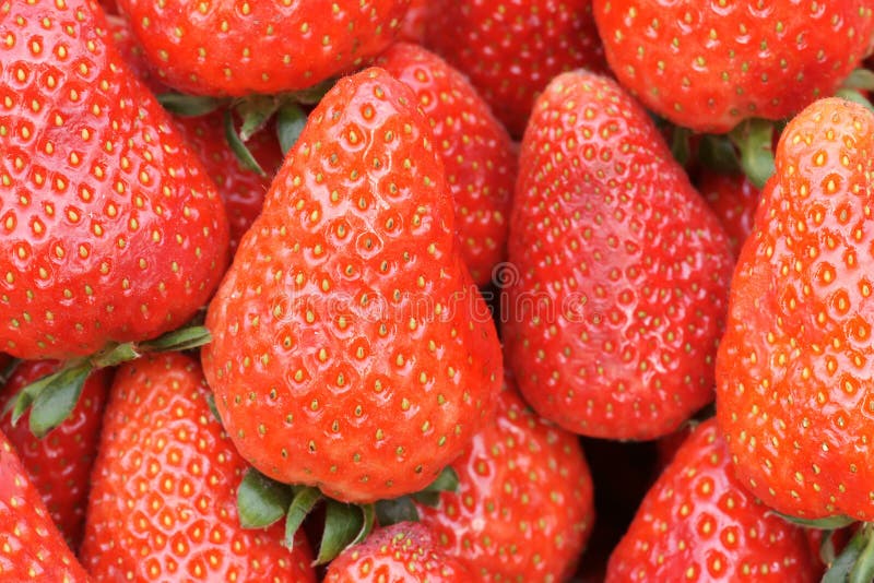 Fruits de fraise image stock. Image du nourriture, graines - 24370977