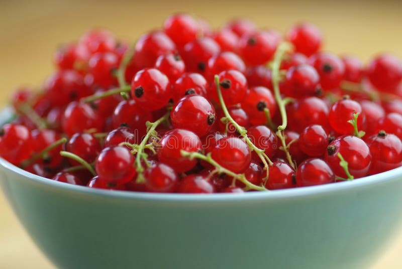Fruits De Groseille Rouge Dans Une Cuvette Photo stock - Image du frais ...