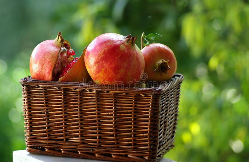 Fruits de l'automne photo stock. Image du texture, prise - 3331700
