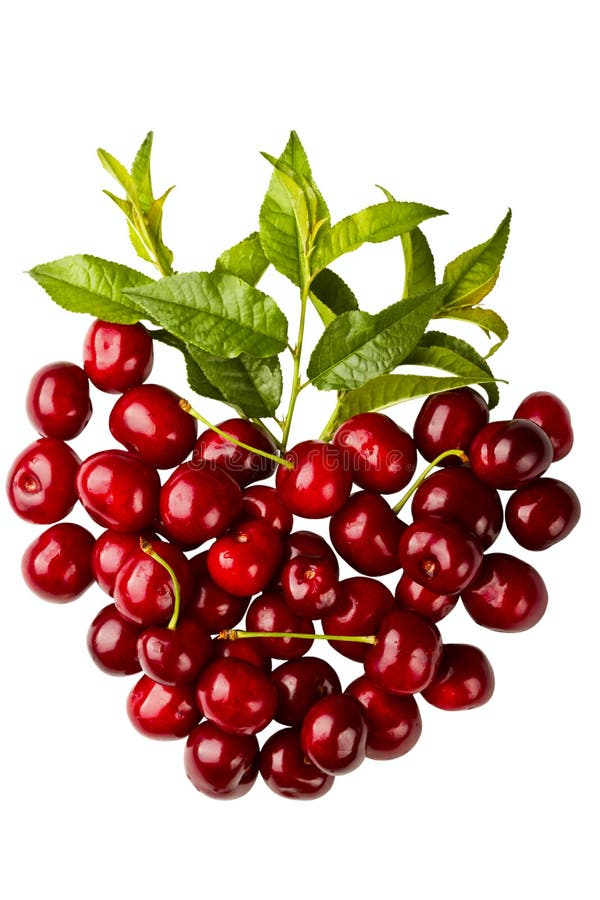 Fruits de merise image stock. Image du nourriture, rouge - 28303179