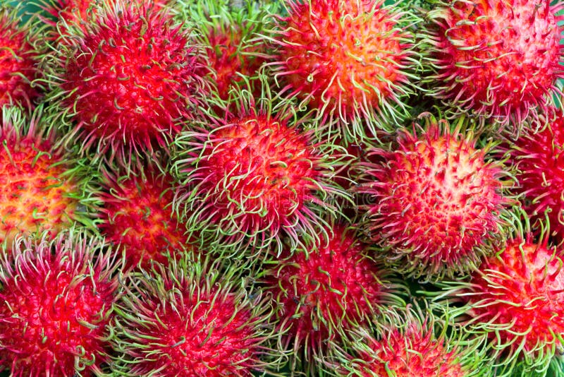 Fruits de ramboutan image stock. Image du exotique, fruits - 32890485
