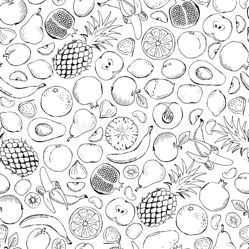 Fruits doodle seamless stock vector. Illustration of orange - 79664808