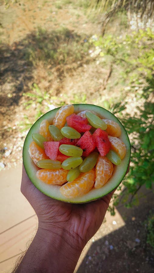 Fruits filled in a fruit stock image. Image of leaf - 268773811
