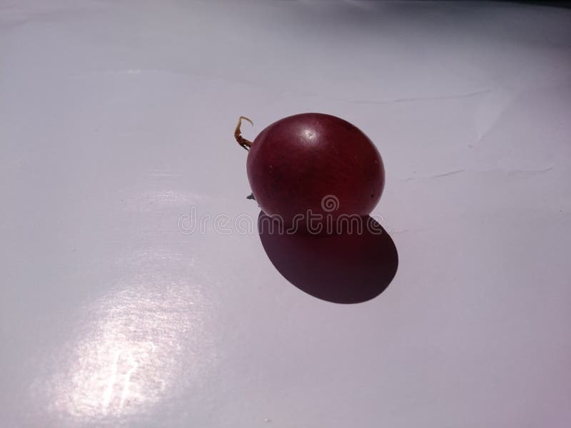 One grape stock photo. Image of white, fruits, floor - 105105138