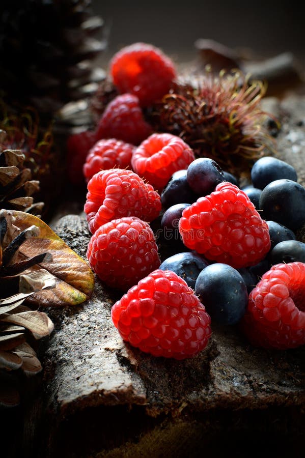 Unusual forest fruits stock image. Image of forest, health - 110273609