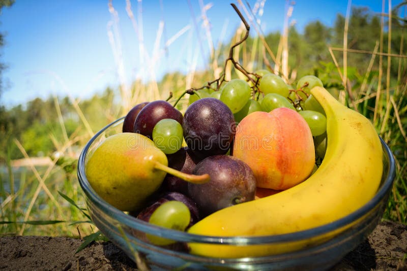 Fruits frais photo stock. Image du nature, prise, côté - 58329782