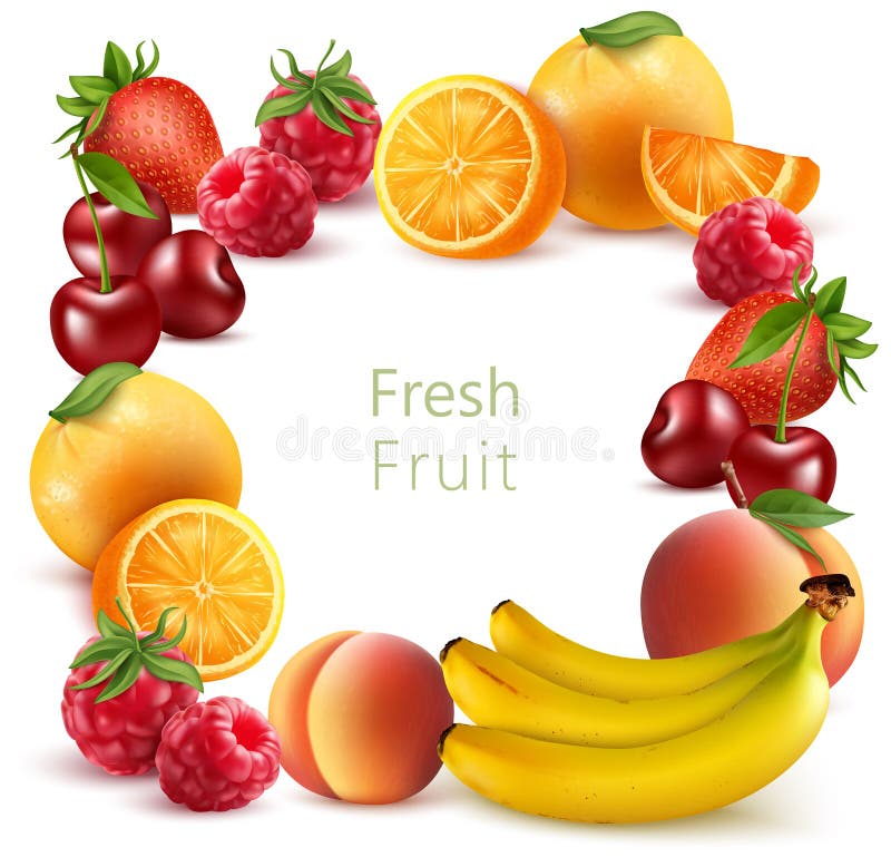 Macrovector - Photographer profile