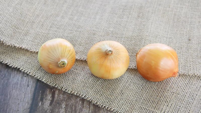 Fruits of Fresh Round Onions Stock Footage - Video of food, gardening ...