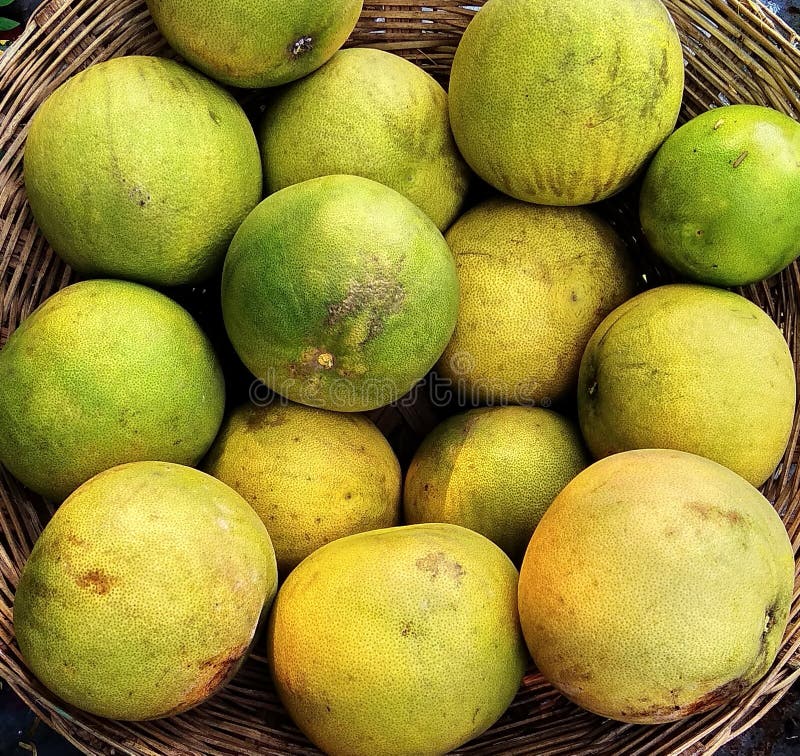 Fruits stock photo. Image of india, chhath, bihar, fruits - 131564092