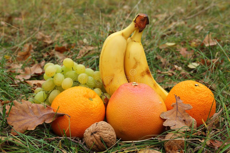 Fruits in a grass stock image. Image of beauty, life - 22045849
