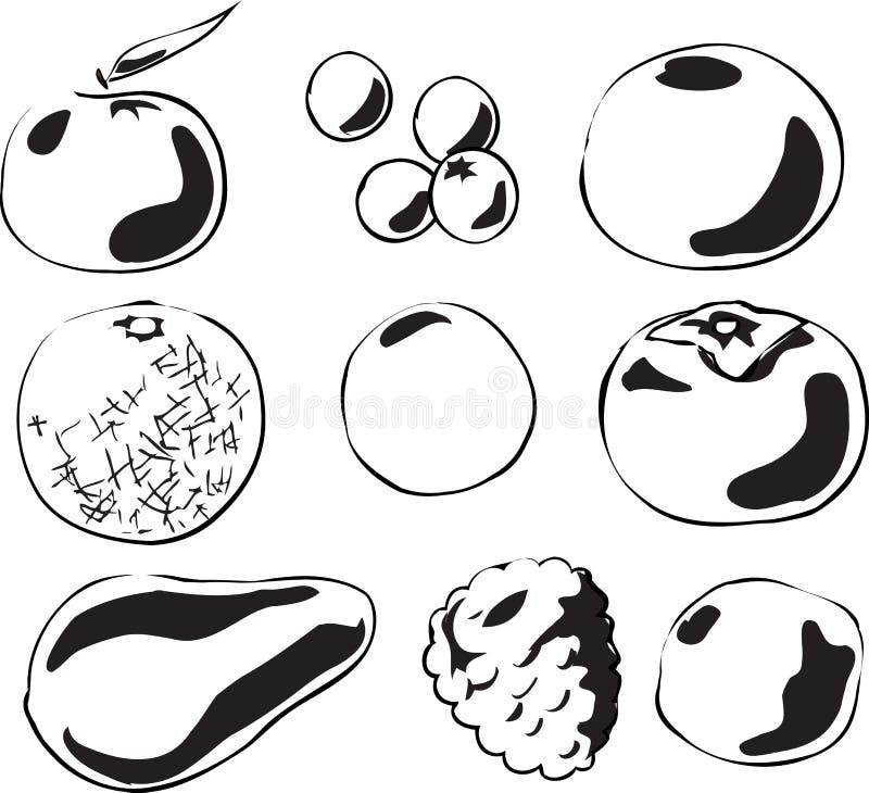 Fruits Clipart Black White Stock Illustrations – 1,095 Fruits Clipart ...