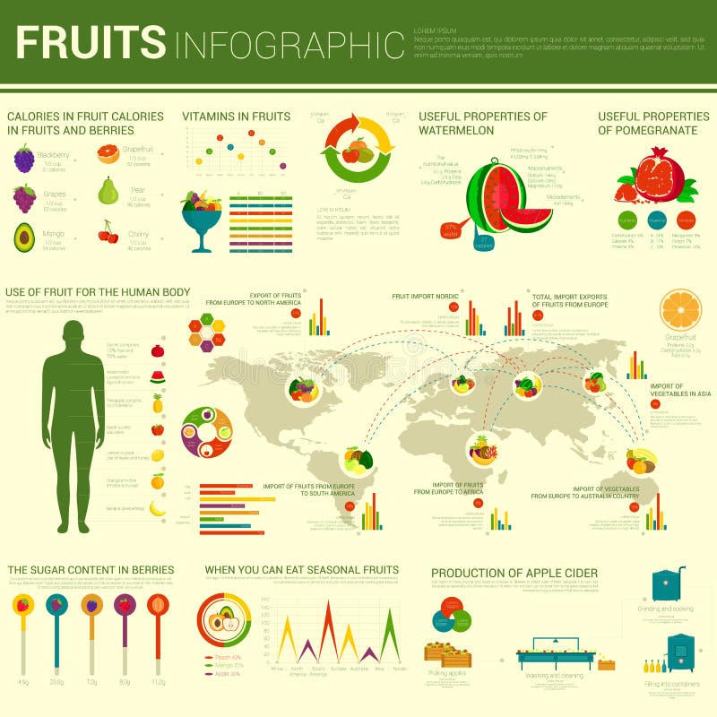 Fruits Infographic Design with Different Charts Stock Vector ...