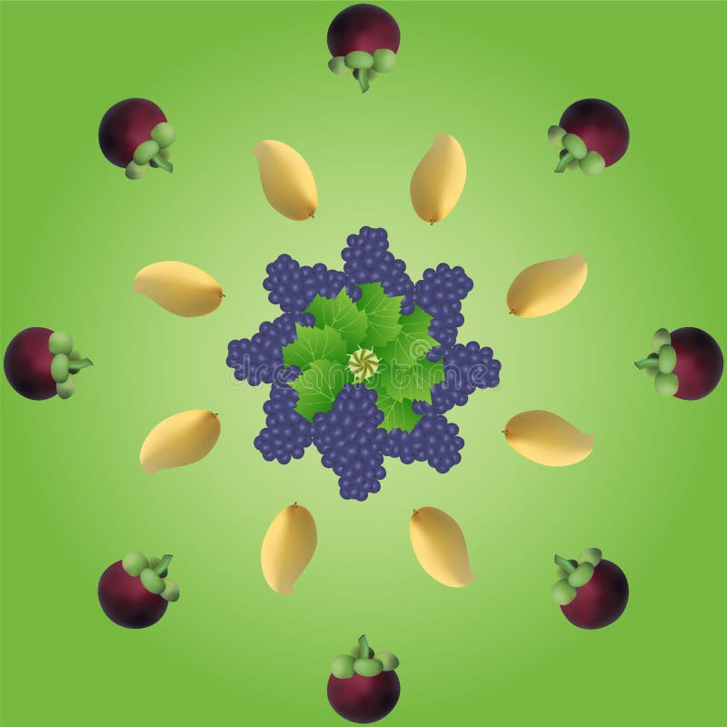 Fruits layers stock vector. Illustration of fruits, mangosteens - 78368410