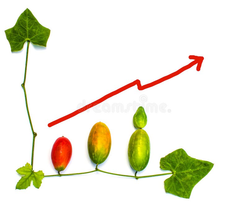 Fruits and Leaves Finance Business Graph Stock Image - Image of office ...