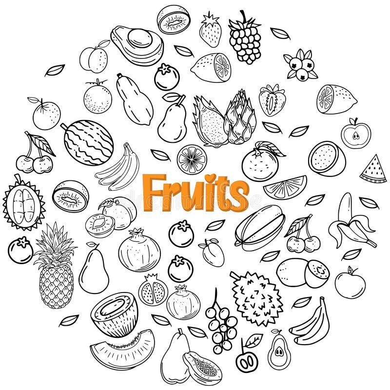 Fruits Line Art Doodle Element Vector Illustration Circle Background ...