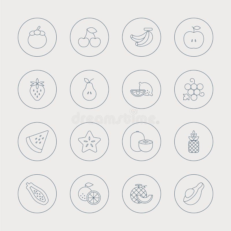 Fruits line icon set stock vector. Illustration of melon - 52455808