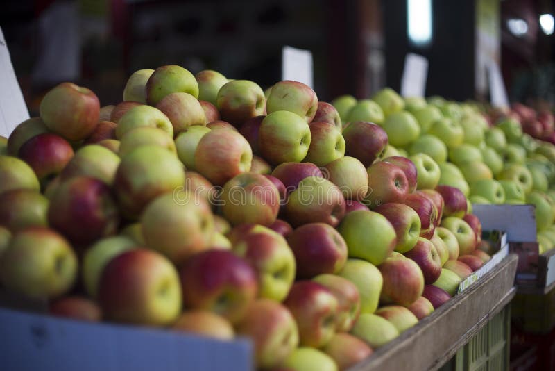 Fruits Market Hadera Israel Stock Image - Image of commerce, commercial ...