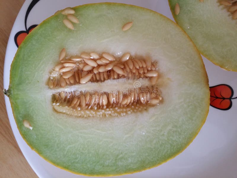 Fruits stock photo. Image of plenty, fruit, musk, seeds - 73695732