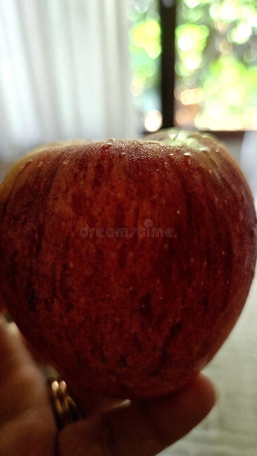 Fruits are Natural, Delicious, and Full of Nutrients. Stock Photo ...