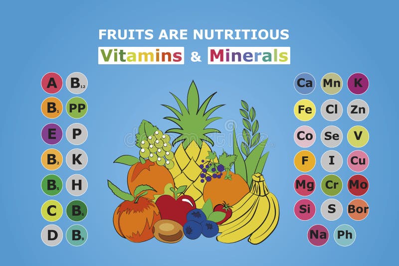 Fruits are nutritious stock vector. Illustration of fruit - 93574485