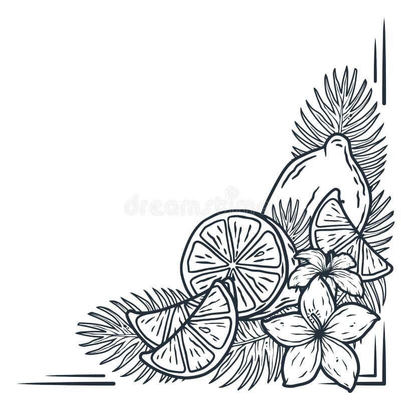 Fruit Frame. Summer Tropical Lemon Design Corner Stock Vector ...