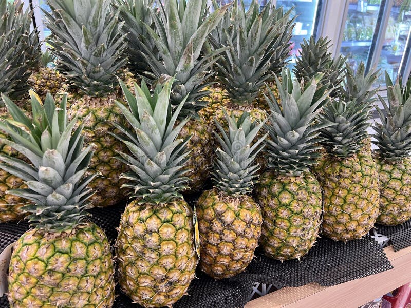 Fruits- Pineapple stock image. Image of purple, sweet - 269512925