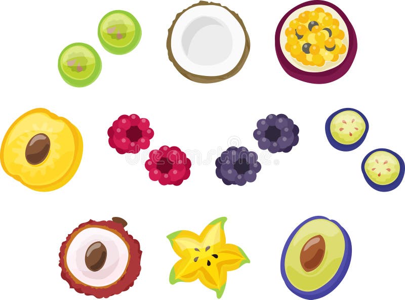 The Cute Icon Set of Various Fruits Cross Section Stock Vector ...