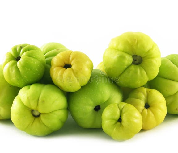 Fruits of quinces stock photo. Image of acid, green, fruit - 3096480