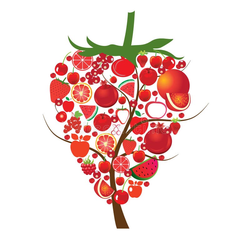 Fruits rouges illustration de vecteur. Illustration du texture - 36567201