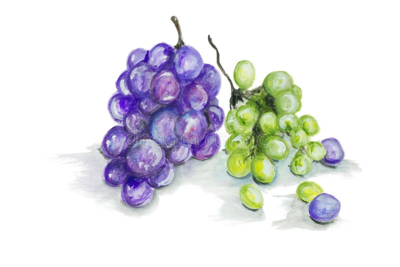 Fruits Rouges Et Verts De Raisins D'isolement Illustration Stock ...