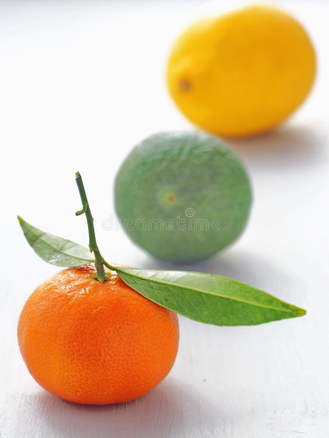 Fruits in a Row on a White Background Stock Photo - Image of color ...
