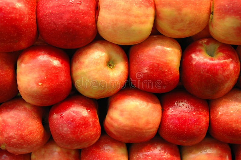 Fruits Series stock image. Image of fresh, market, mall - 439299